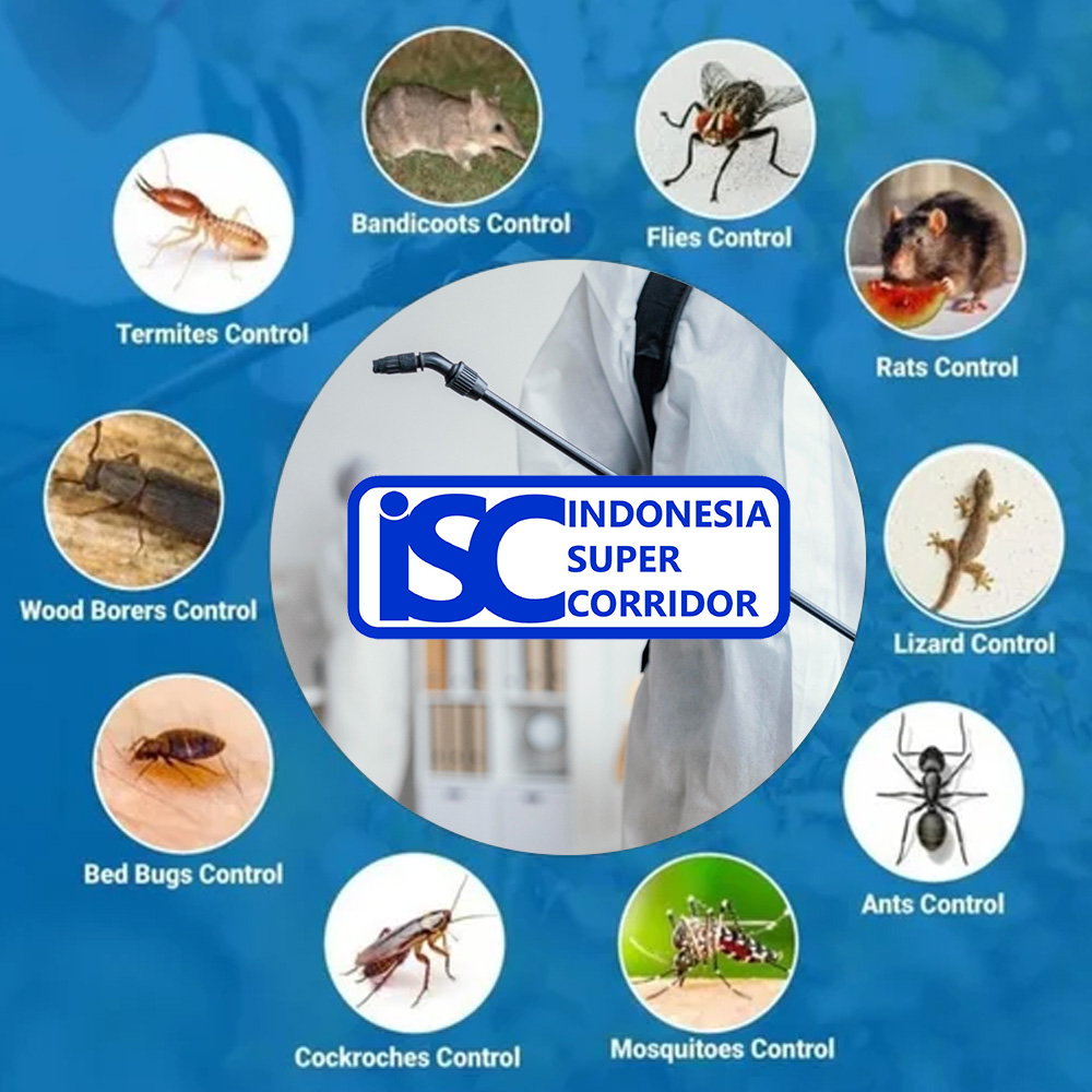 Pest, Termite And Rodent Control